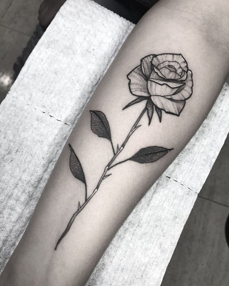 Descubra as 23 Melhores Inspirações para Tatuagens de Rosas - Página 3 de 3